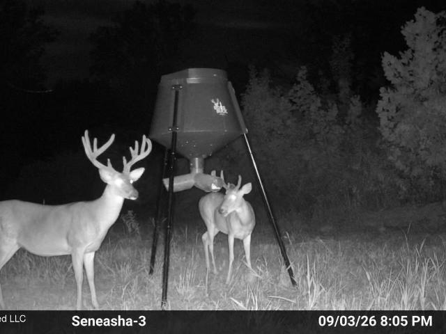 Cr 4001, Goodman, MS 39079