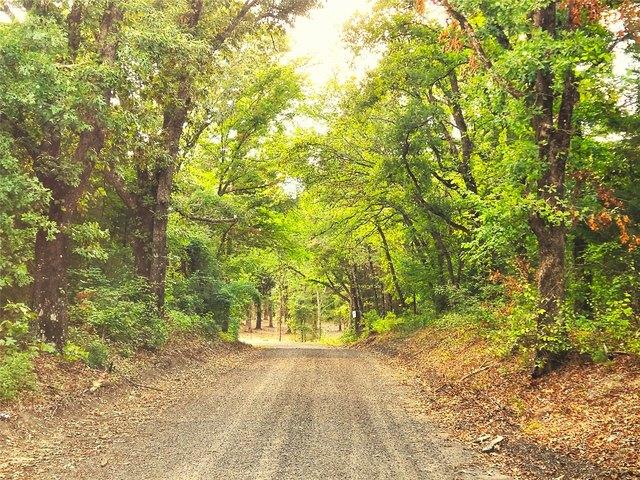 Cr 4710 Lot 465, Larue, TX 75770