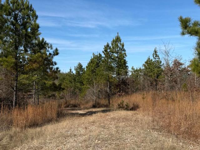 Cr 70, Woodland, MS 39776