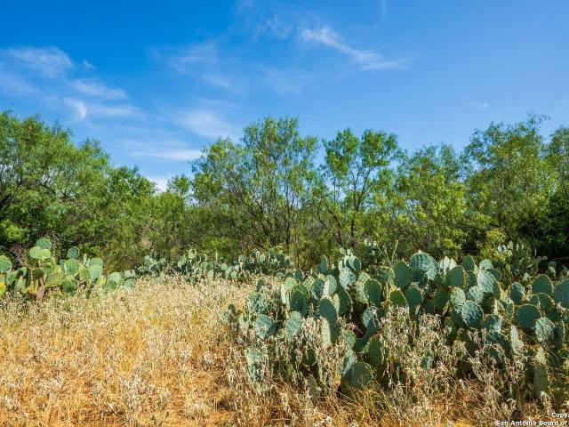 Cr 732, Yancey, TX 78666 | MLS #1928 | Compass