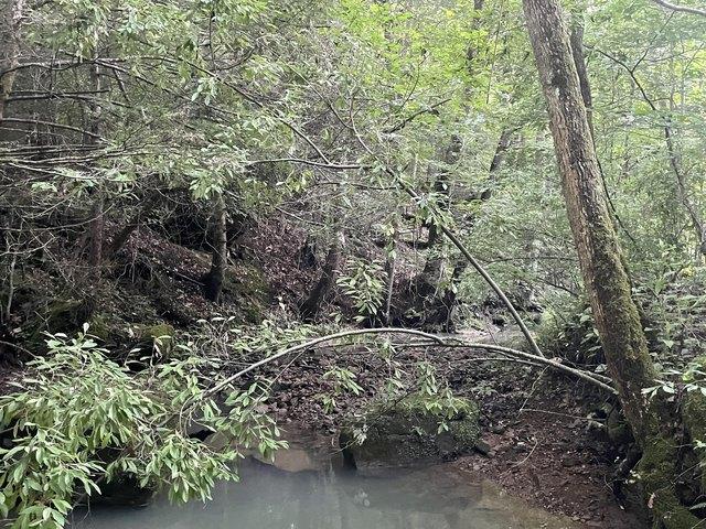 Cr 1127, Strunk, KY 42649
