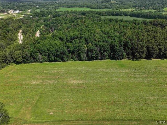 Cr 17, Belfast, NY 14711