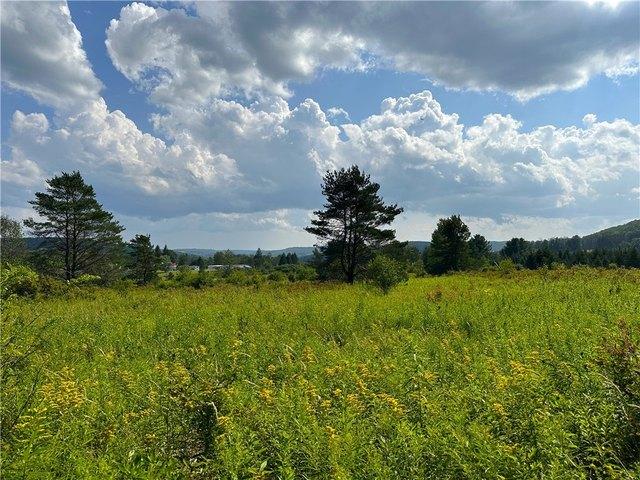 Cr 17, Friendship, NY 14739