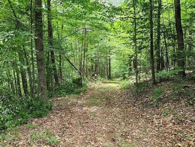 Cr 16, Beaver Dams, NY 14812