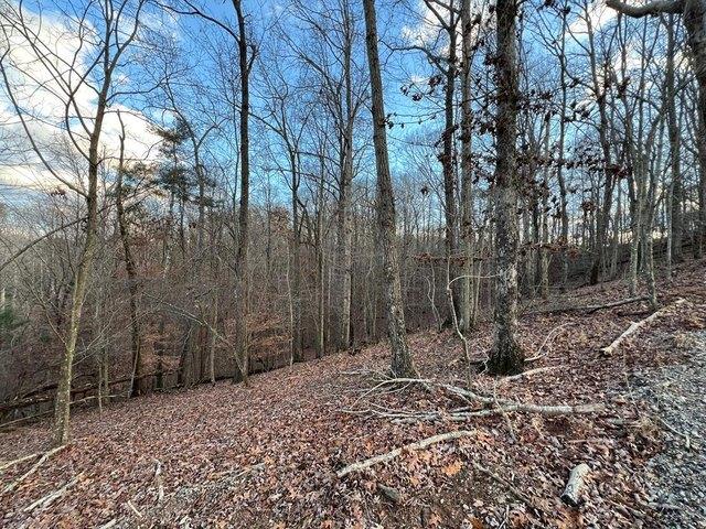 Crown Ct Lot 403, Ellijay, GA 30540