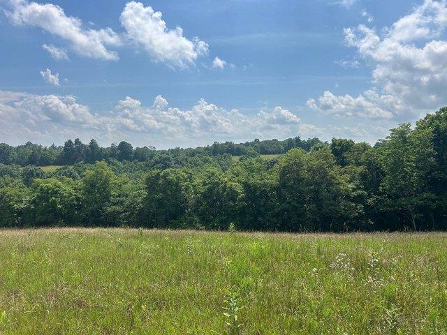 Crockett Ln, Mayslick, KY 41064