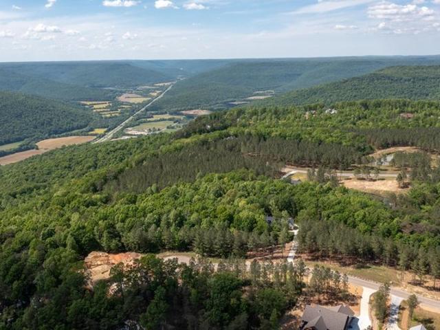 Crockett Pointe Lot 175, Jasper, TN 37347