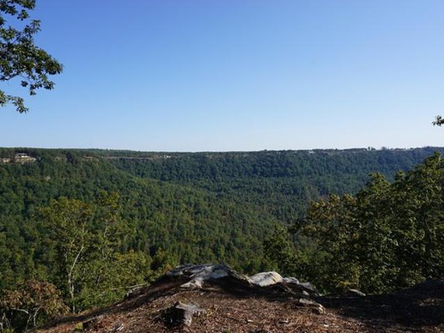 Crockett Pt, Jasper, TN 37347