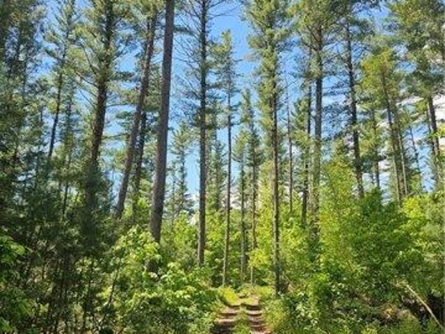 Croghan NY 13327 103600012
