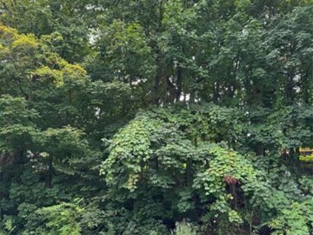 Crompond Rd, Peekskill, Plot For Sale