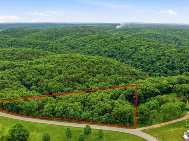 Cron Rd, Lampe, MO 65681