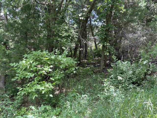 Crooked Oaks, Crofton, NE 68730