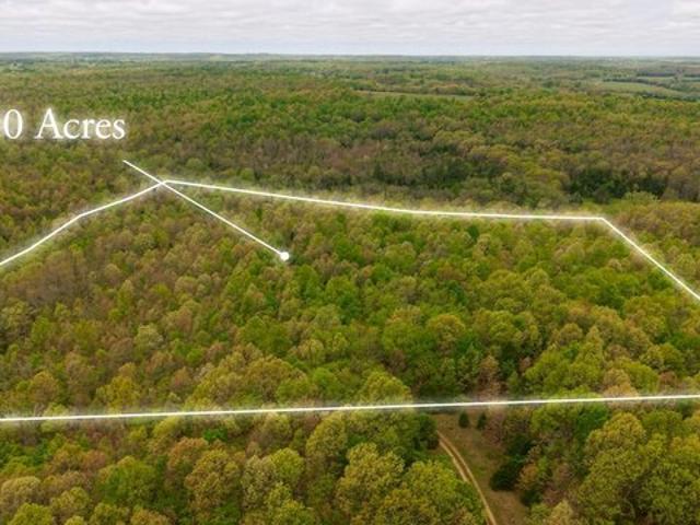 Crooked Creek Rd, Hartville, MO 65667