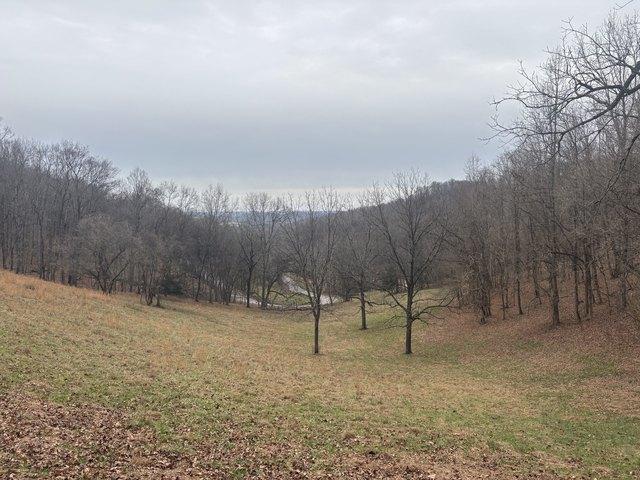 Crooked Hill Rd, Pulaski, TN 38478