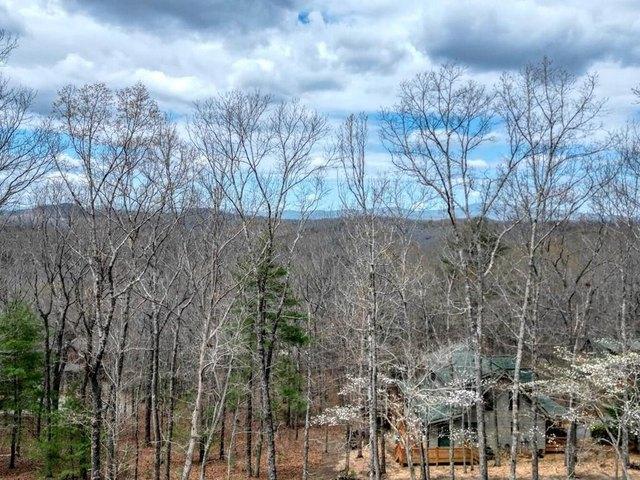 Cross Crk Lot 25, Mineral Bluff, GA 30559