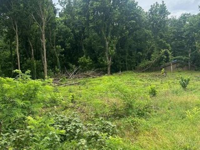 Cross Dr, Vicksburg, MS 39180