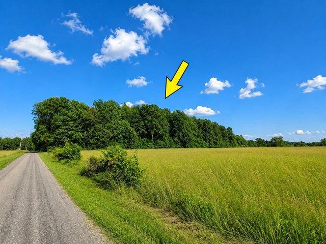 Cross Rd, Vevay, IN 47043