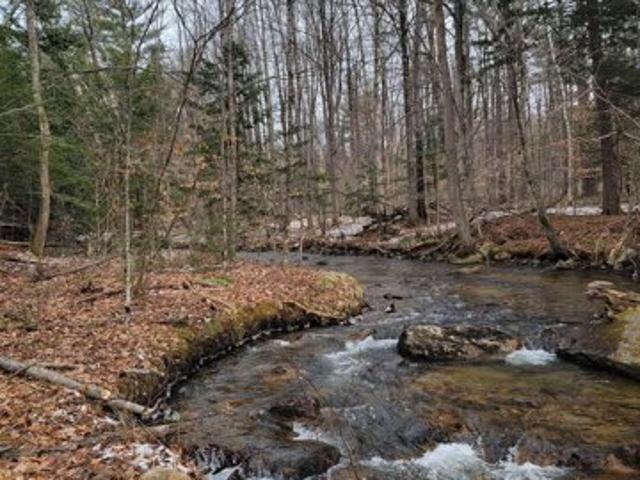Crossover Rd, Bennington, Plot For Sale