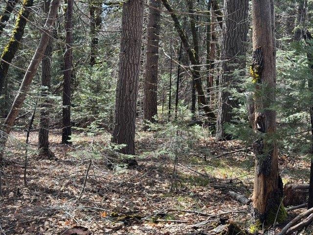Crater Way Unit 1/21, McCloud, CA 96057