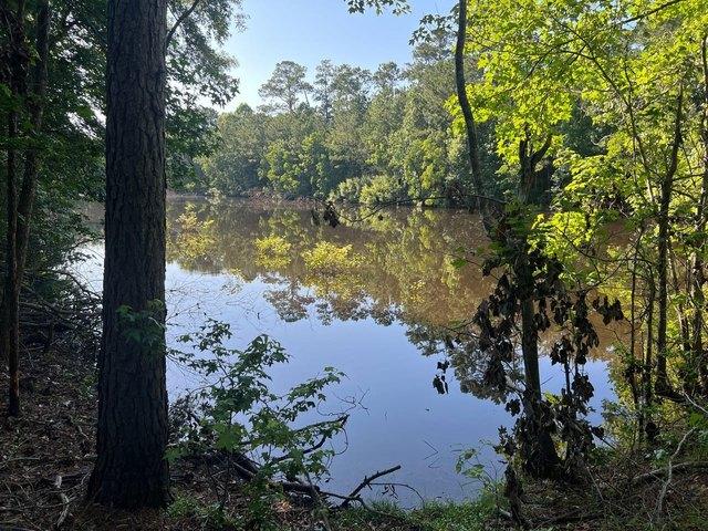 Cravens Camp Rd, Silsbee, TX 77656