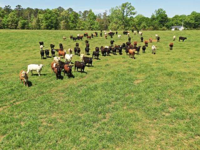 Crawford Rd, Due West, SC 29639