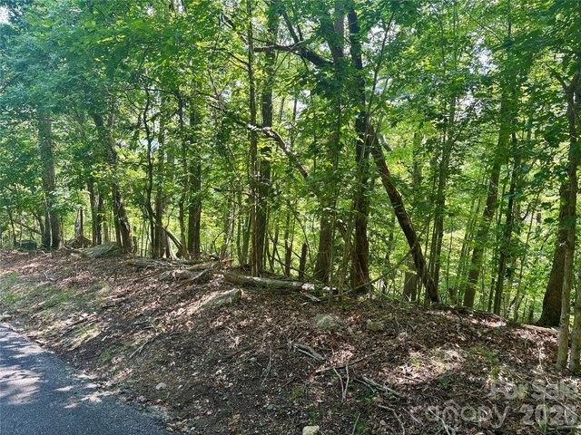 Crab Apple Ct Lot 13, Lake Lure, NC 28746