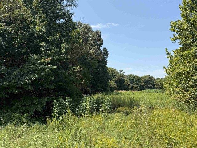 Crad Baskin Dr Lot 12, Burlison, TN 38015