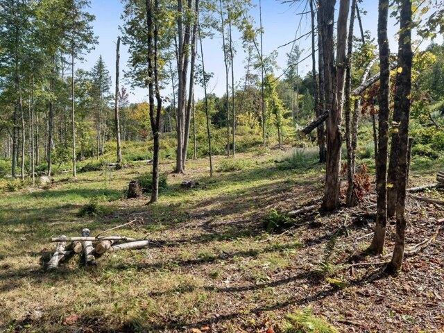 Craftsbury VT 05826 104514516