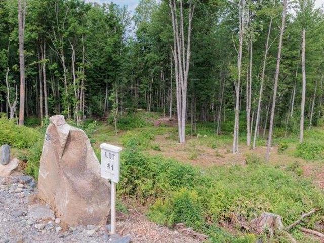 Craftsbury VT 05826 105106971