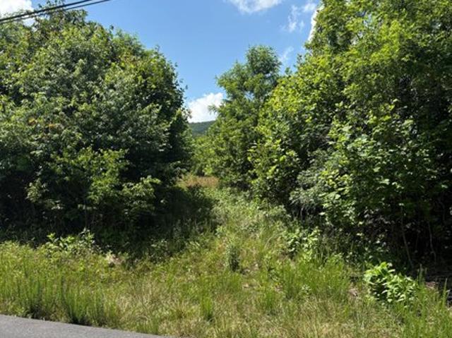 Craig Creek Rd, Eagle Rock, VA 24085