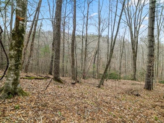 Craig Dr Lot 2, Franklin, NC 28734