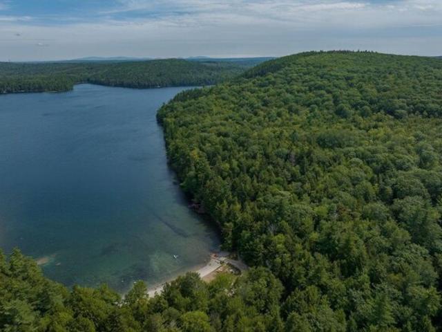 Craig Pond Trl, Orland, Home For Sale