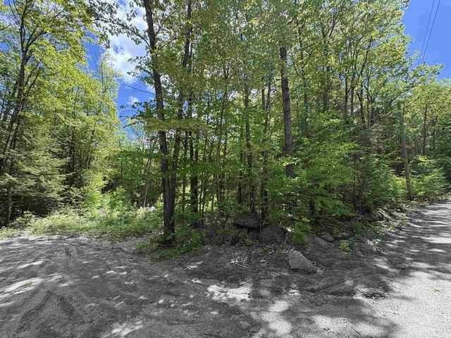 Craig Rd Lot 3, Antrim, NH 03440