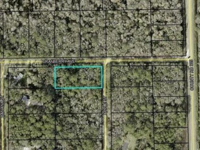 Cranberry Ave, Bunnell, Plot For Sale