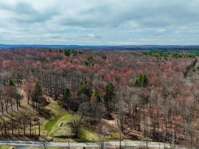 Cranberry Rd, Greenfield Park, NY 12435