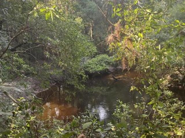 Crane Creek Rd, Perkinston, MS 39573
