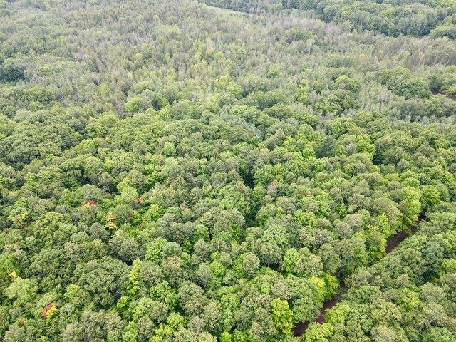 Crane Foot Lake Rd Lot 2, Gleason, WI 54435