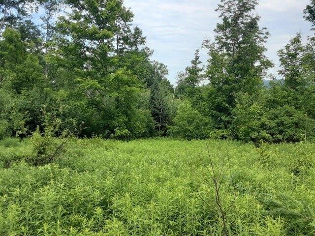 Crane Hill Rd, Sugar Hill, Plot For Sale