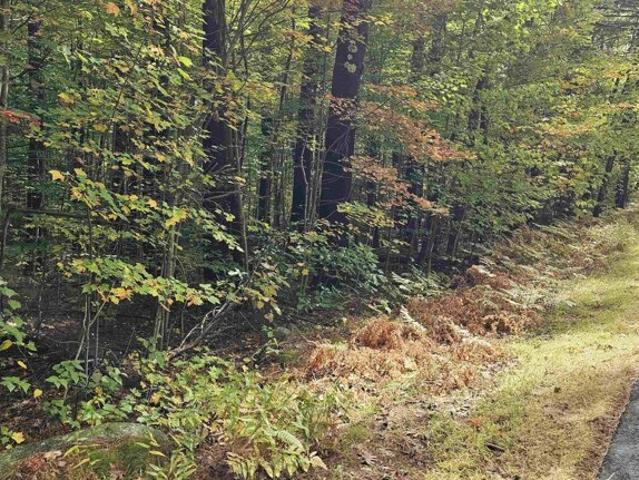 Craney Hill Rd, Henniker, Plot For Sale