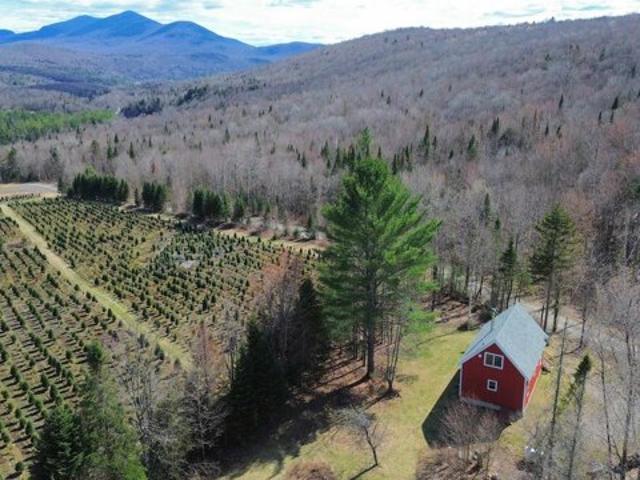 Crank Rd, Bloomfield, Home For Sale