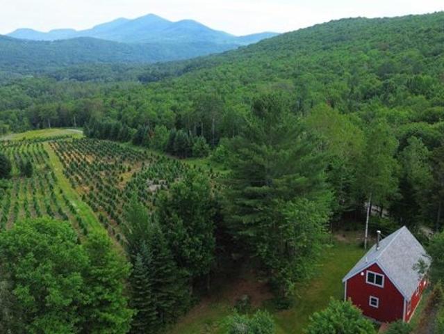 Crank Rd, Bloomfield, Home For Sale