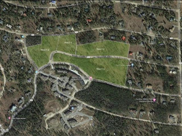 Cranmer Ave, Fraser, CO 80442