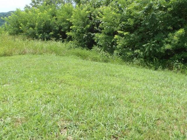 Crappie Ln Lot 17D, Hilham, TN 38568