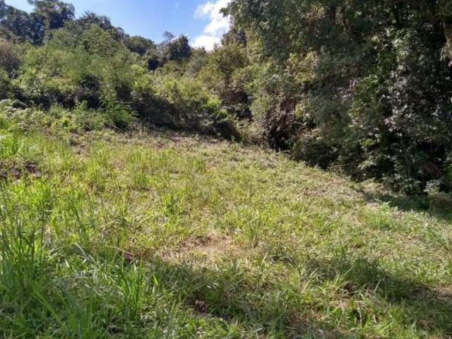 Crédito Real vende terreno em Garibaldi