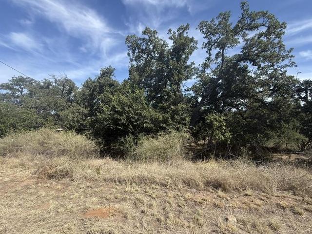 Cree Trl, Kingsland, TX 78639