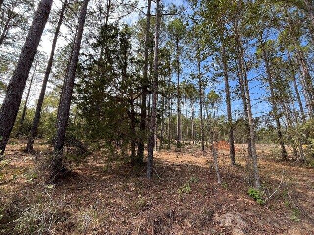 Creek Vista Ln, Willis, Plot For Sale