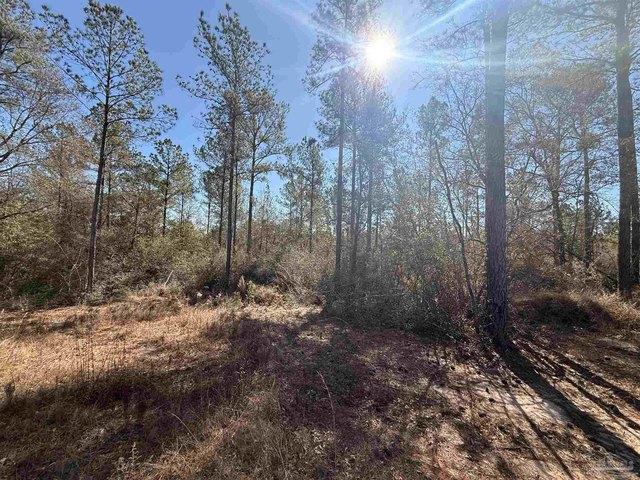 Creek Bluff Dr Lot 3, Pace, FL 32571