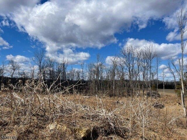 Creek Rd, Green Township, Plot For Sale