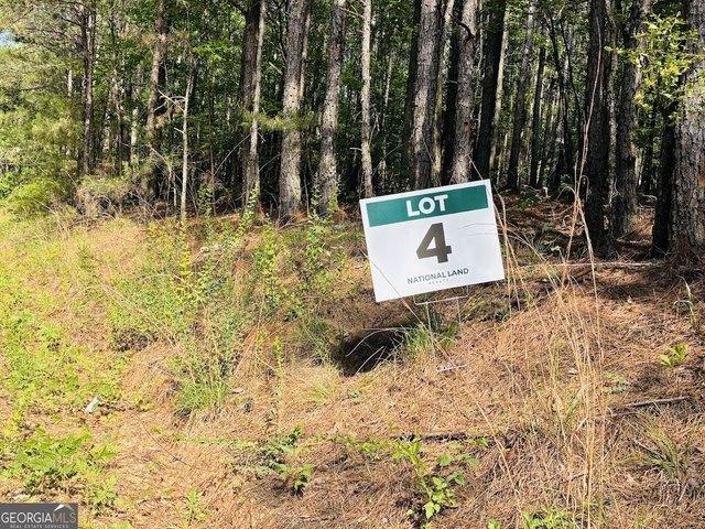 Creek Rd Lot 4, Ashland, AL 36251