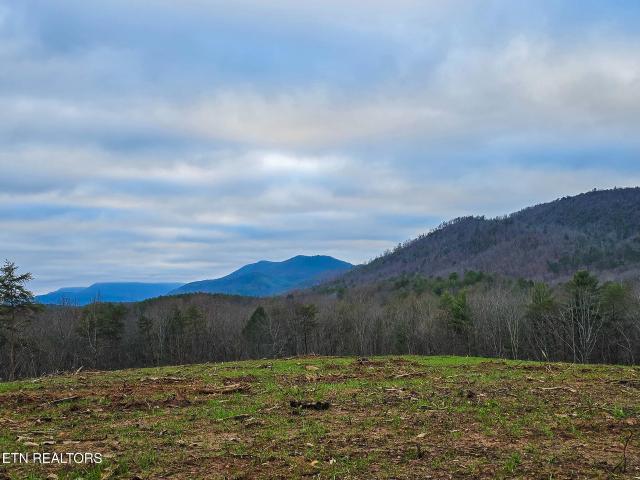 Creek Rd, Reliance, TN 37369